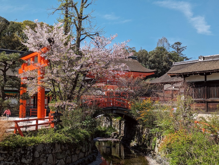 Shrines, Gardens, And Dragons: A Guide To Kyoto's Temples