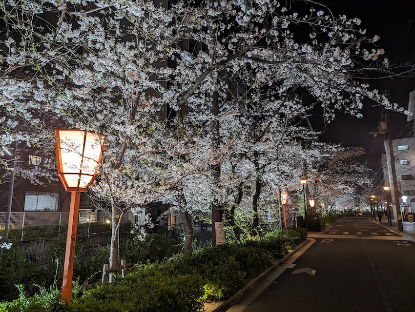 7 Unique Kyoto Nighttime Experiences - Artifacts
